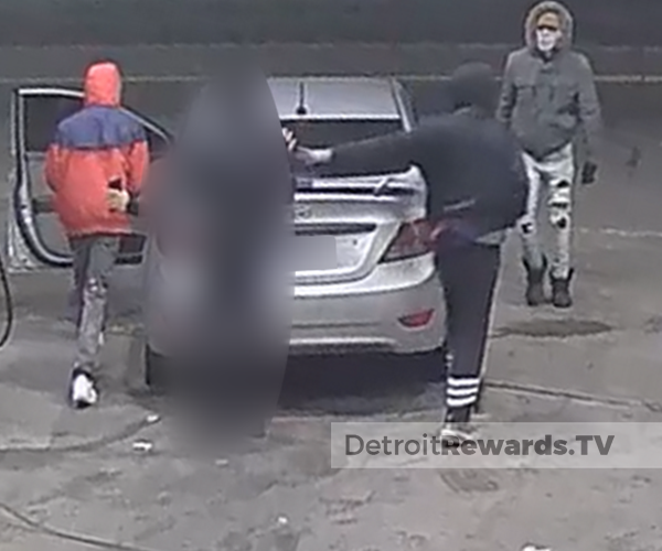 Carjacking in the 1500 block of E. Outer Dr. | City of Detroit